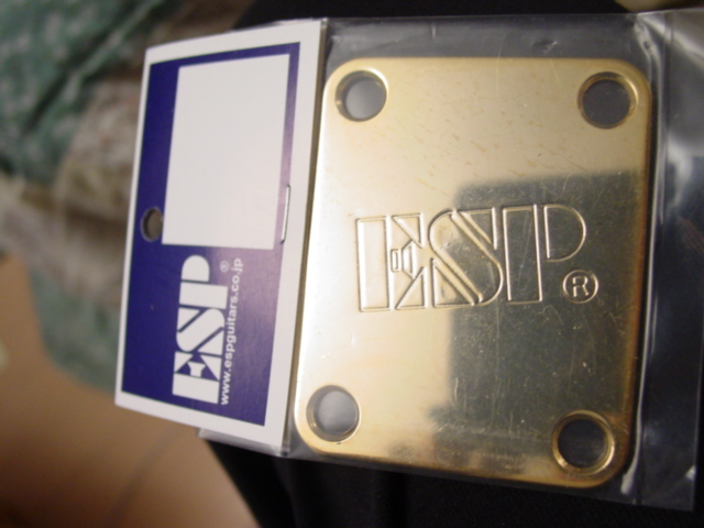 ESP SQUARE NECKPLATES HERE